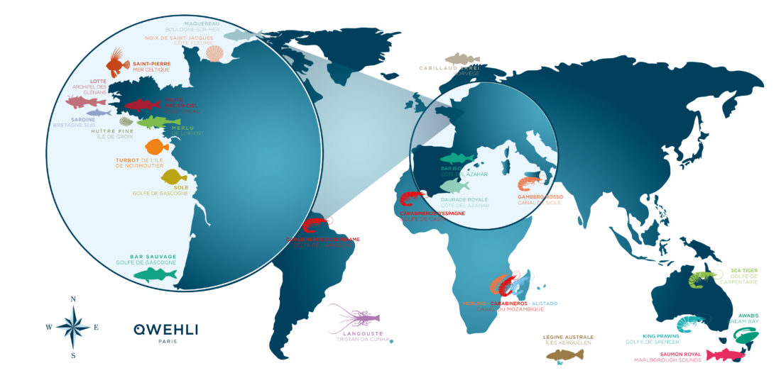 Qwehli | Nos provenances