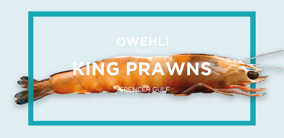 Qwehli | Nos produits