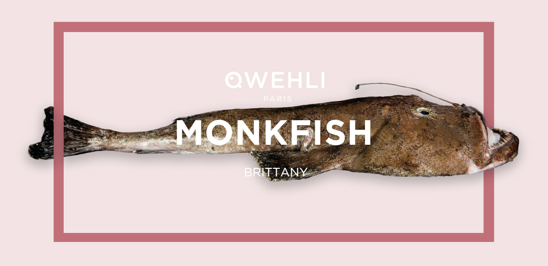 Qwehli | Nos produits