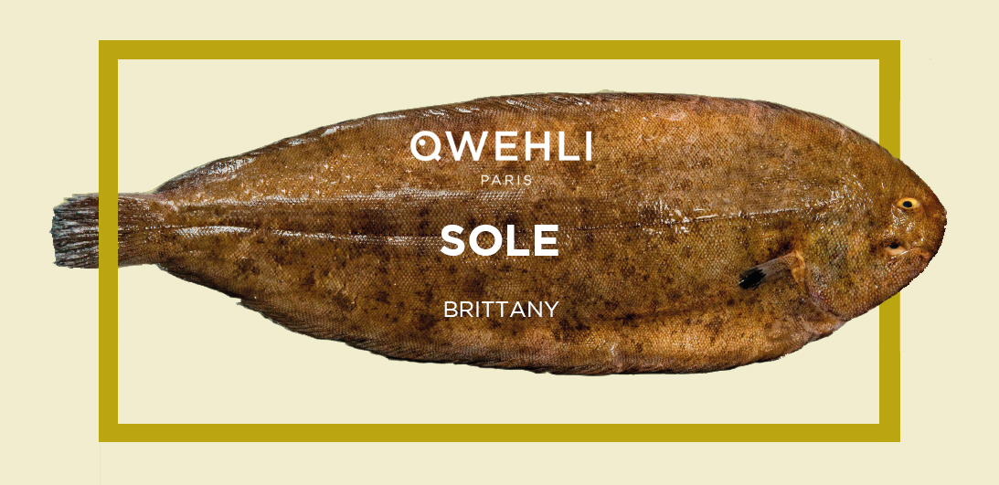 Qwehli | Our products