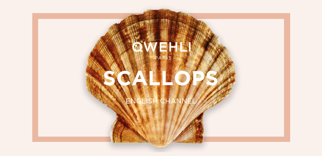 Qwehli | Our products