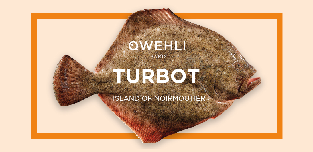 Qwehli | Nos produits