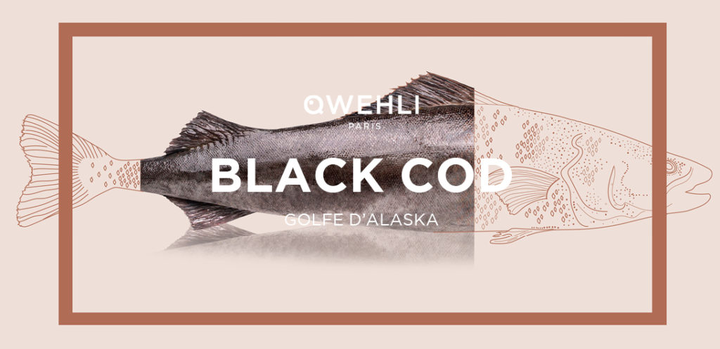 Qwehli | Nos produits