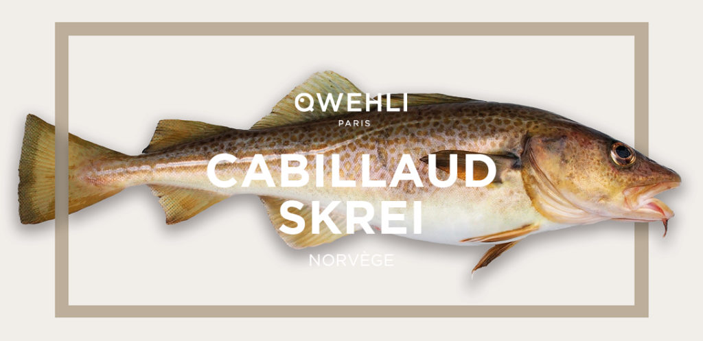 Qwehli | Nos produits