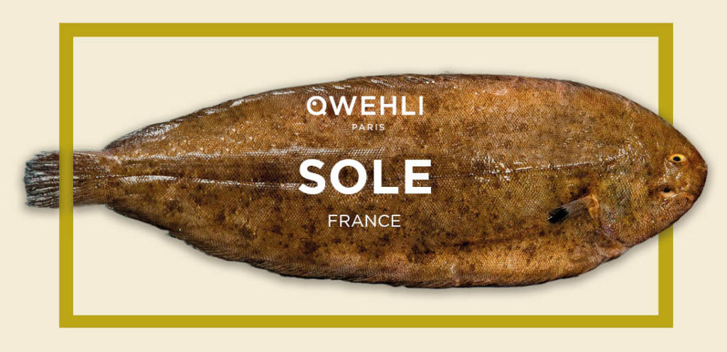 Qwehli | Nos produits