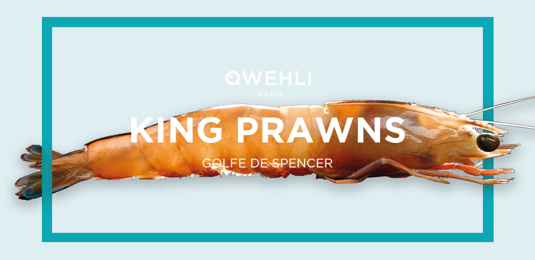Qwehli | Nos produits