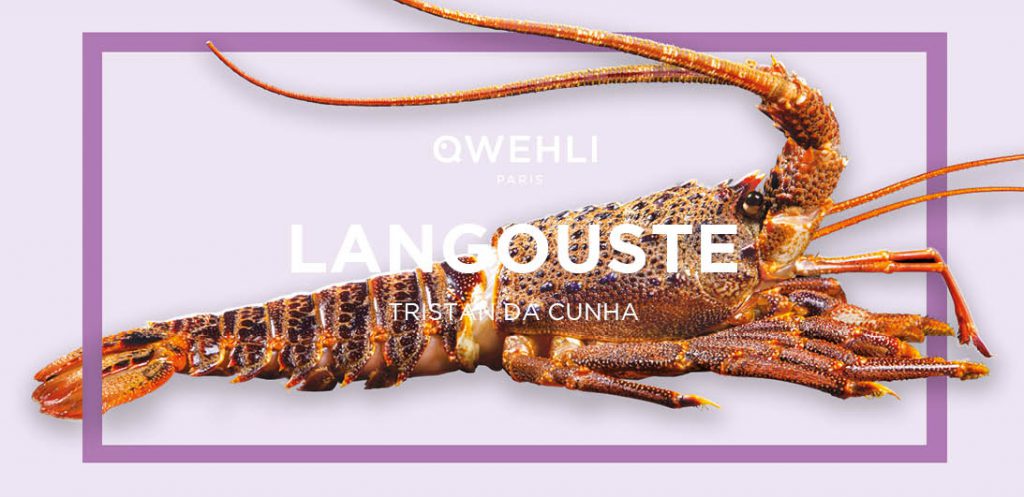 Qwehli | Nos produits