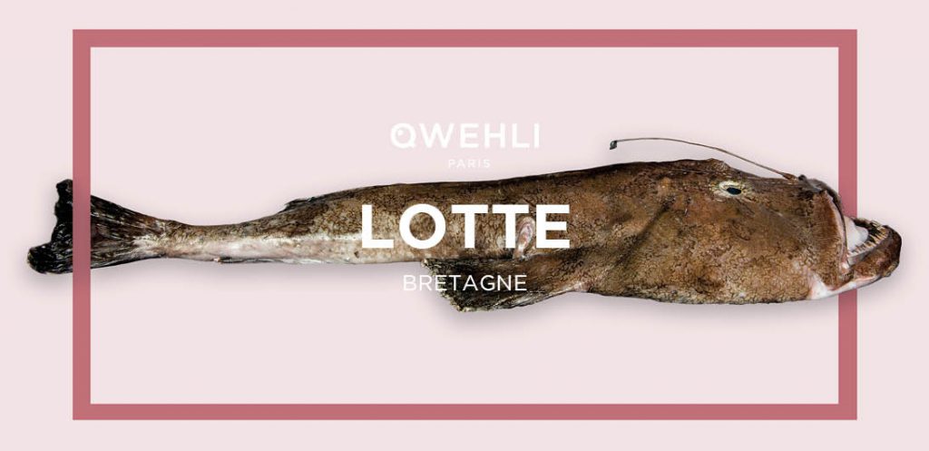 Qwehli | Nos produits