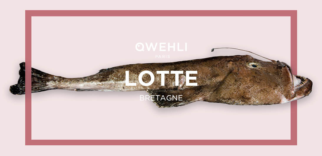 Qwehli | Nos produits