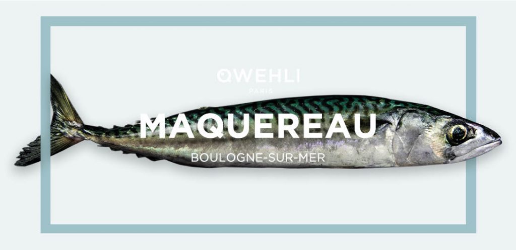 Qwehli | Nos produits