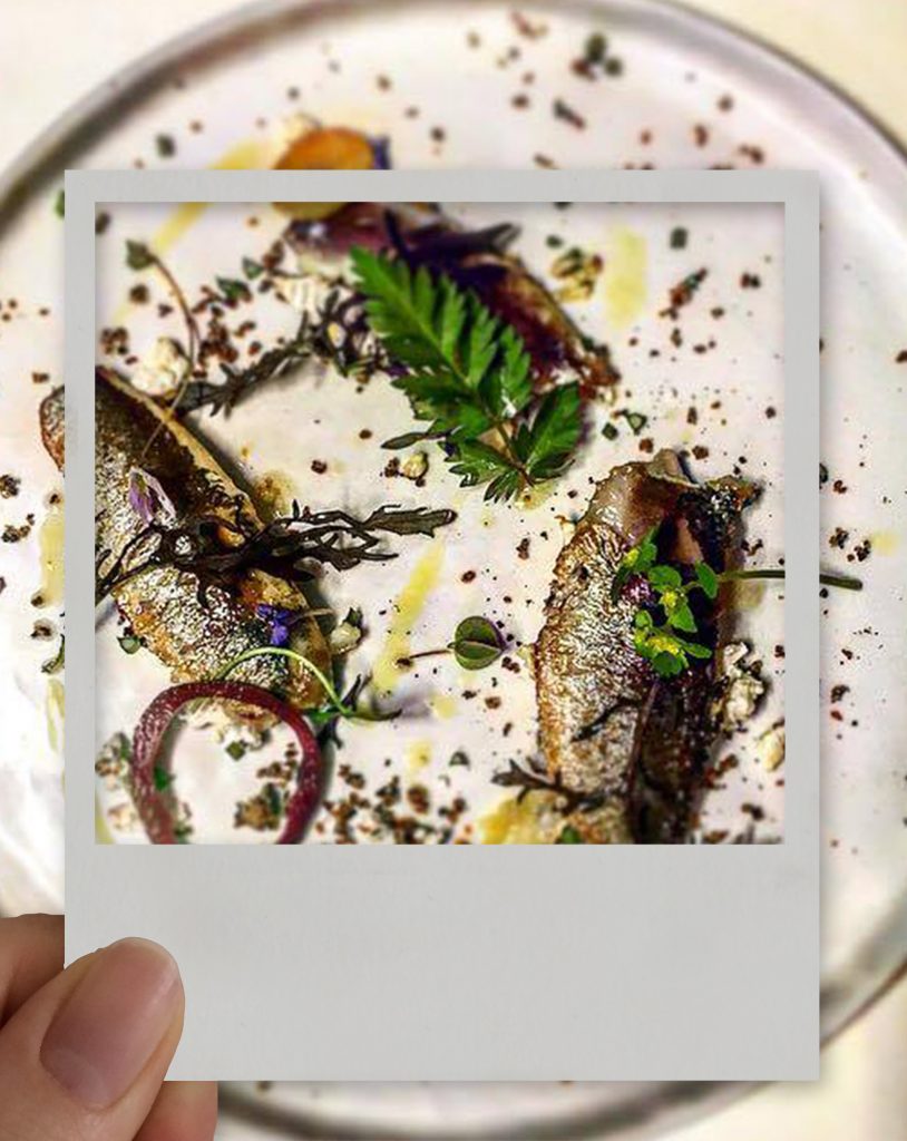 Qwehli | Inspiration