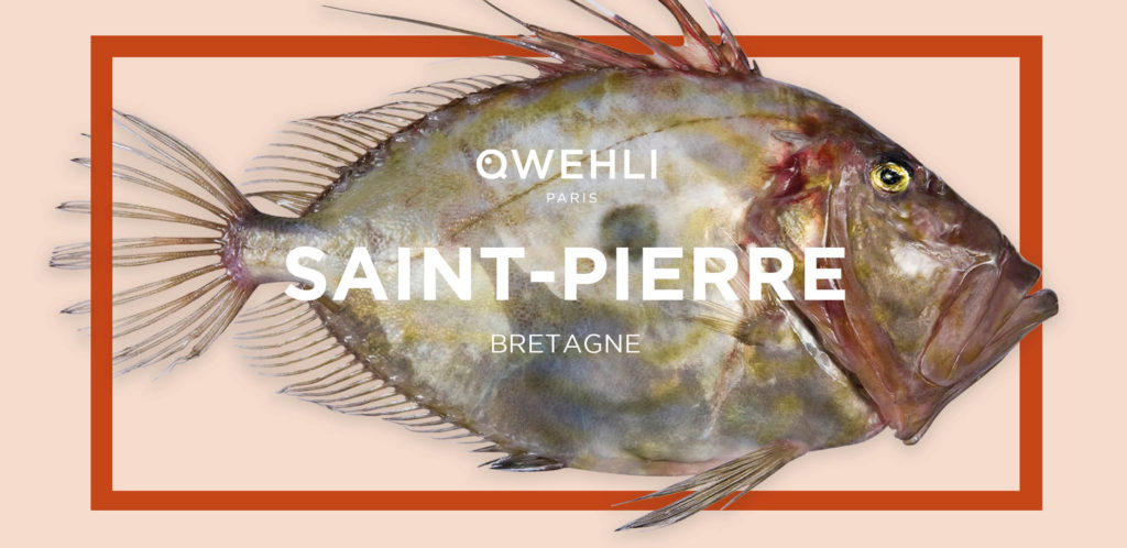 Qwehli | Nos produits