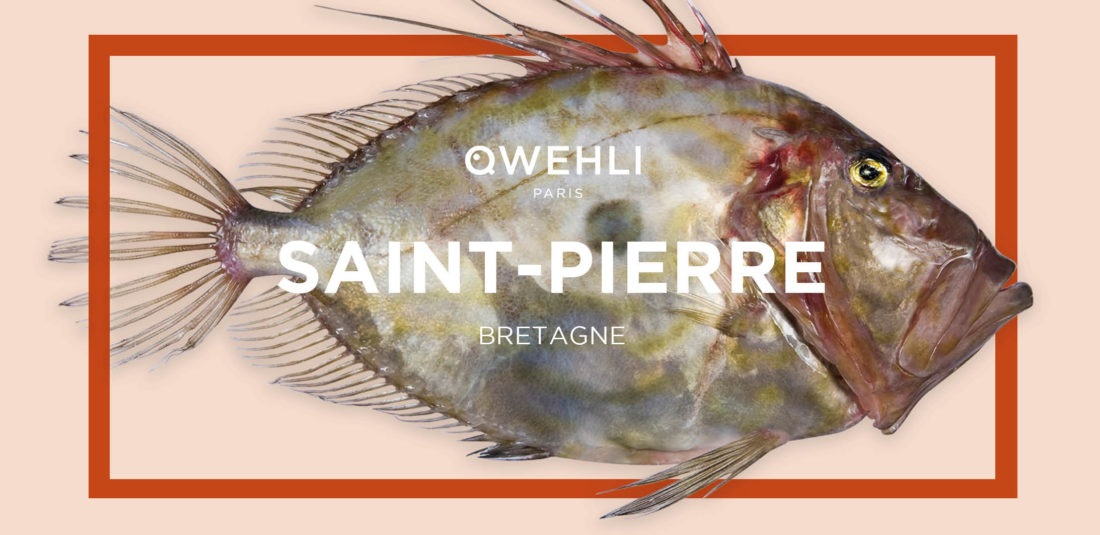 Qwehli | Nos produits