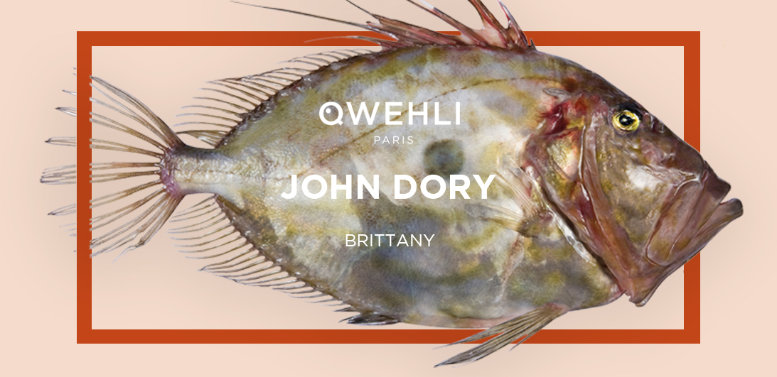 Qwehli | Nos produits