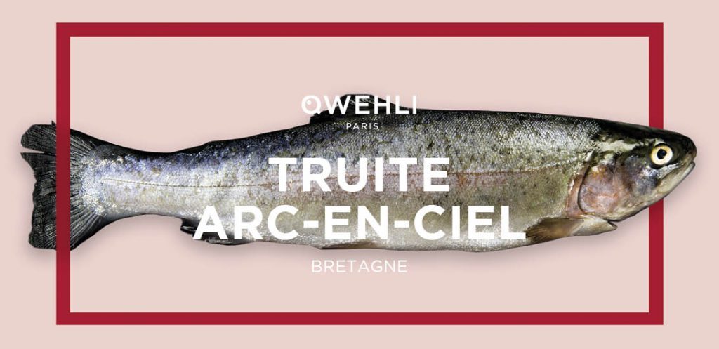 Qwehli | Nos produits