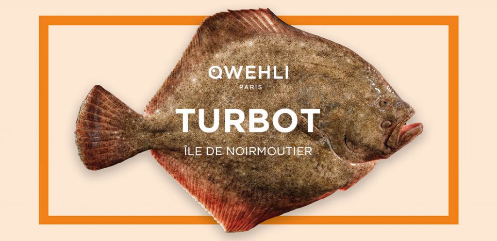 Qwehli | Nos produits