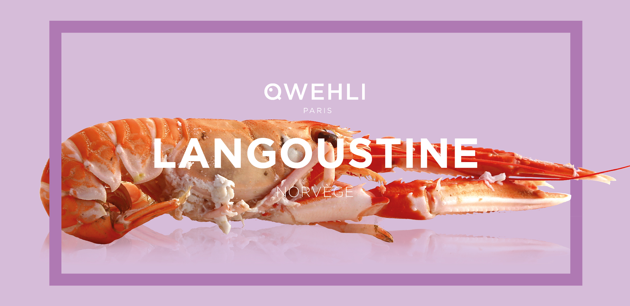 Qwehli | Nos produits