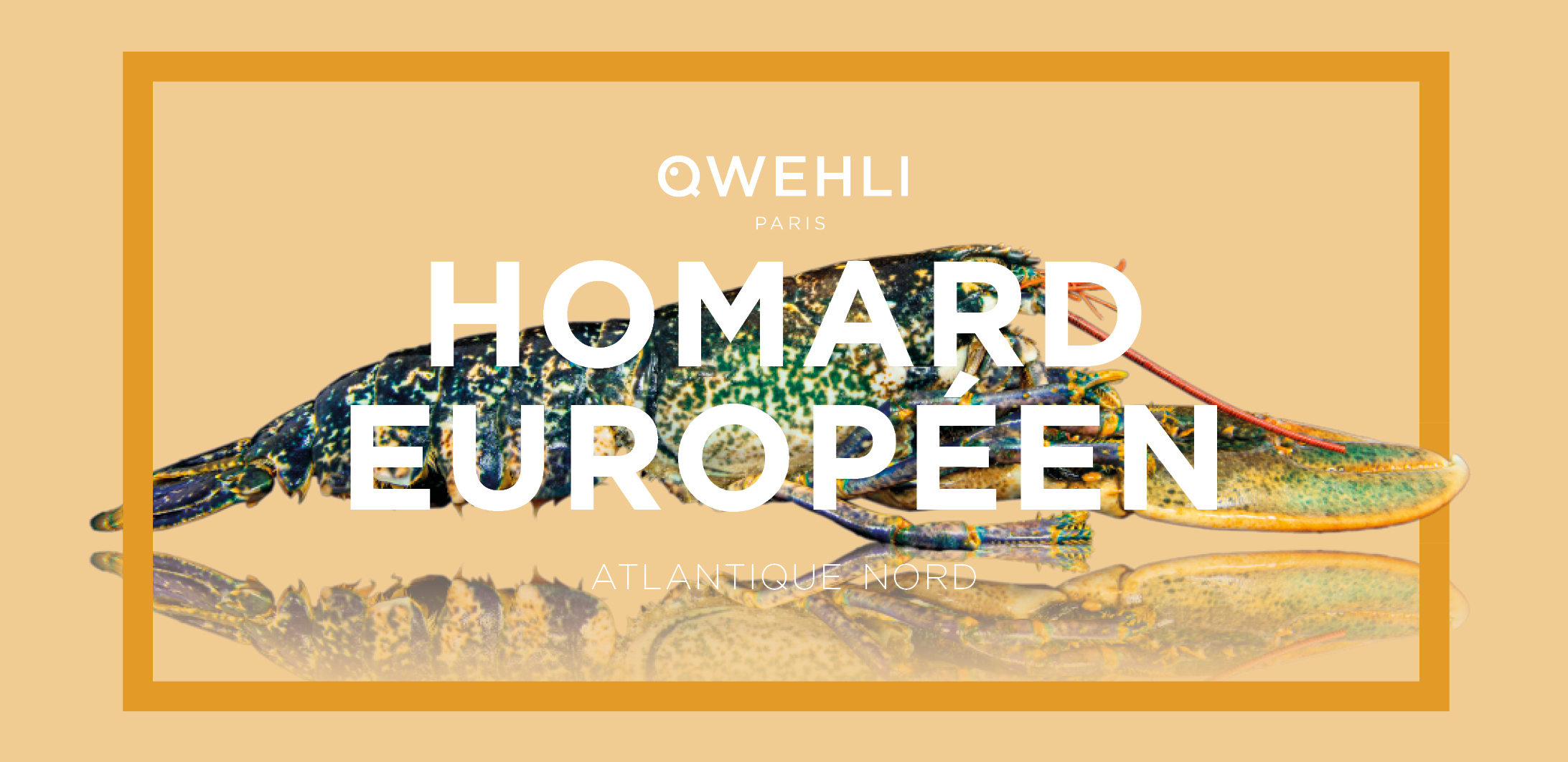 Qwehli | Nos produits