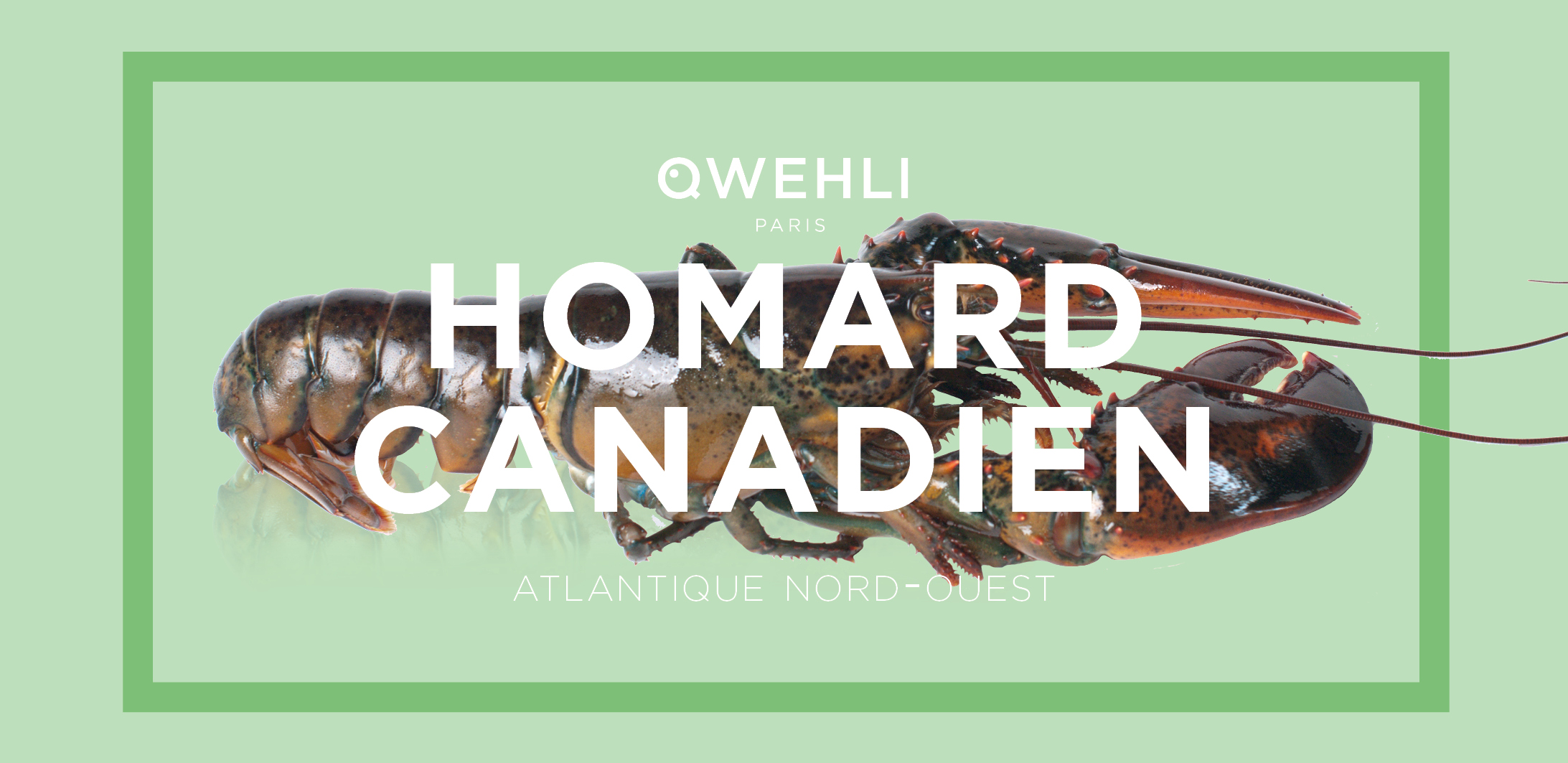 Qwehli | Nos produits